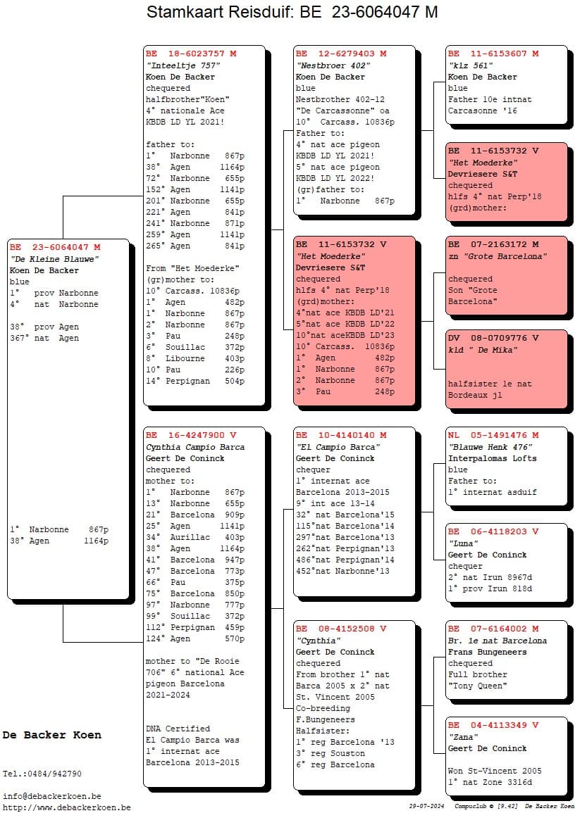 Koen de Backer (Hoevenen) wins 1st and 2nd Prov. Narbonne Yearlings ...