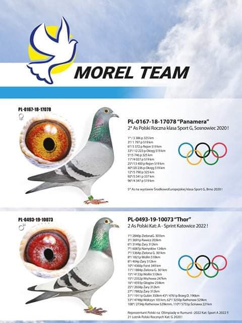 Morel Team Familly loft 2022