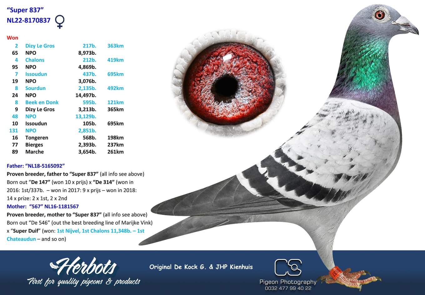 Pigeon Bids April 2025 - Part 1